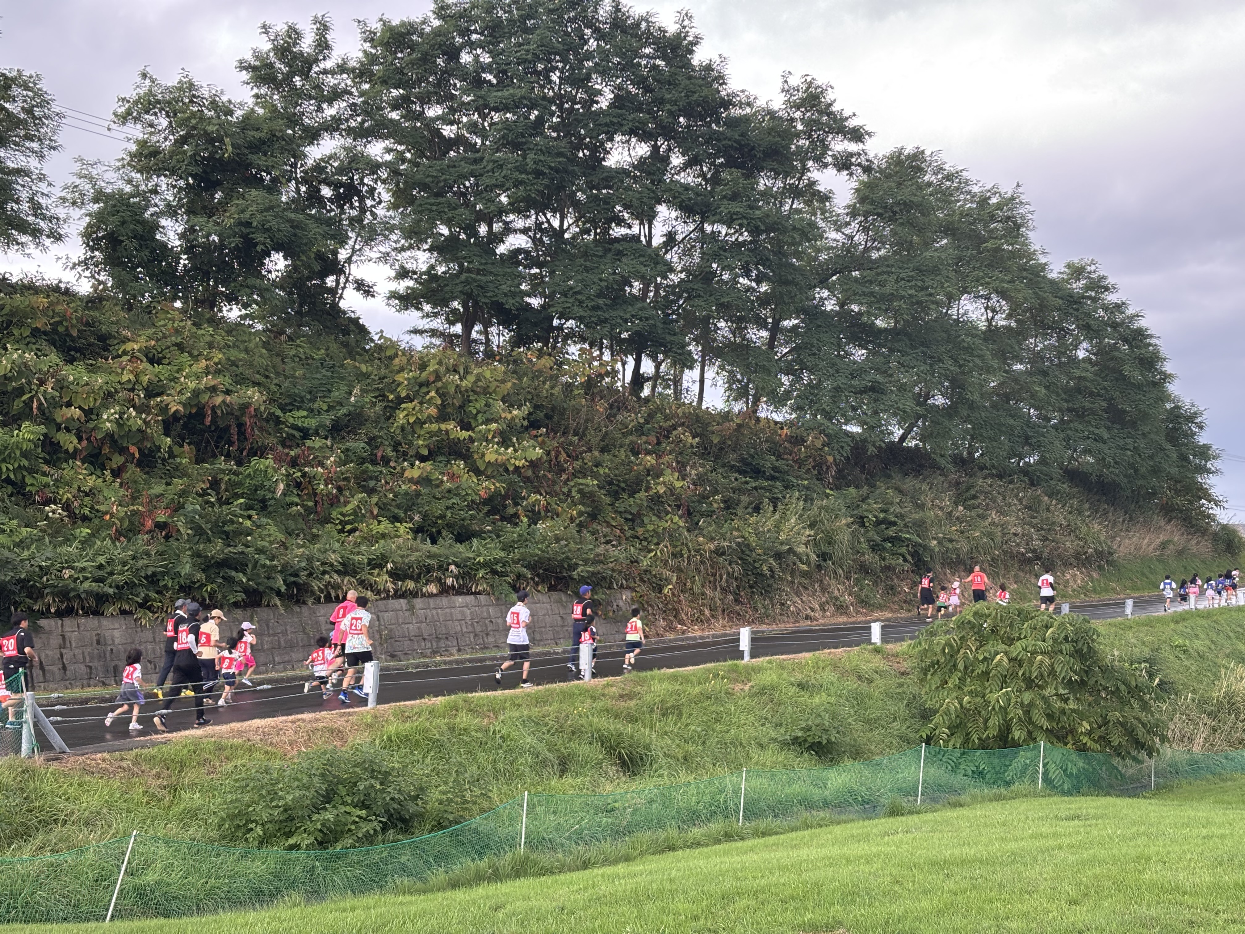 記念すべき50回目: 観光スタッフ日誌