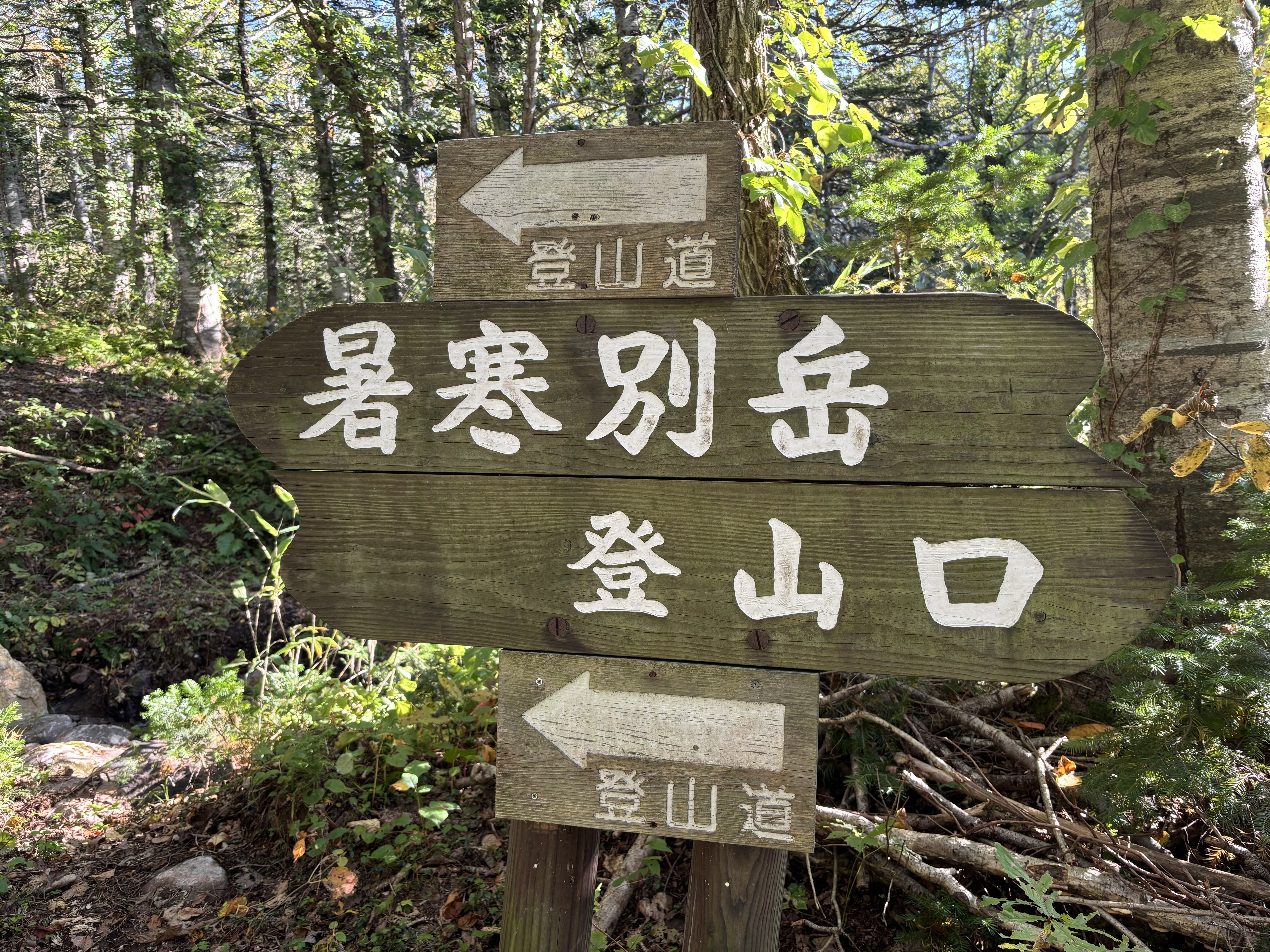 私の秋はまだですか？: 観光スタッフ日誌